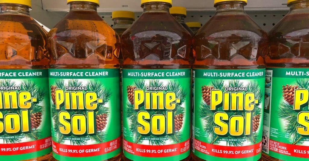 Upgrade Your Home Brewery with Stainless Steel Batch Cans ...